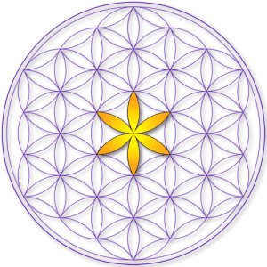 University of Metaphysical Sciences | Online Metaphysics College